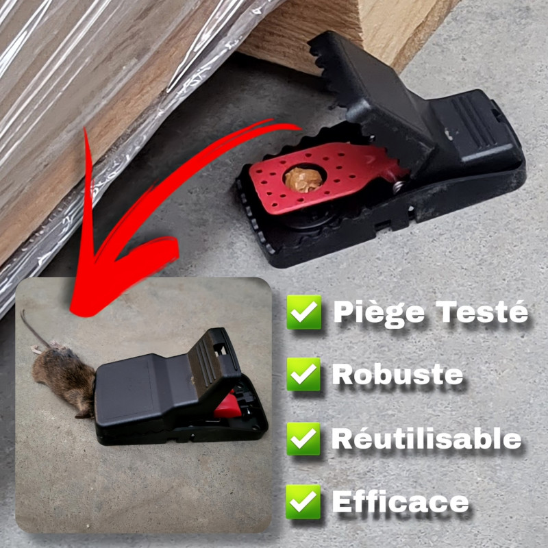 Kit antisouris 3 tapettes Gorilla Traps + 3 KOMODO | Gants offert