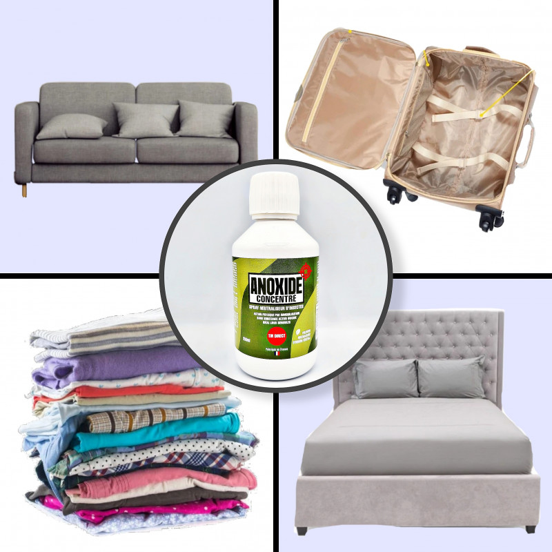 Neutraliseur naturel concentré anti punaise de lit 250ml ANOXIDE