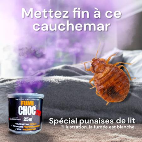 Fumigne Punaise De Lit Efficace