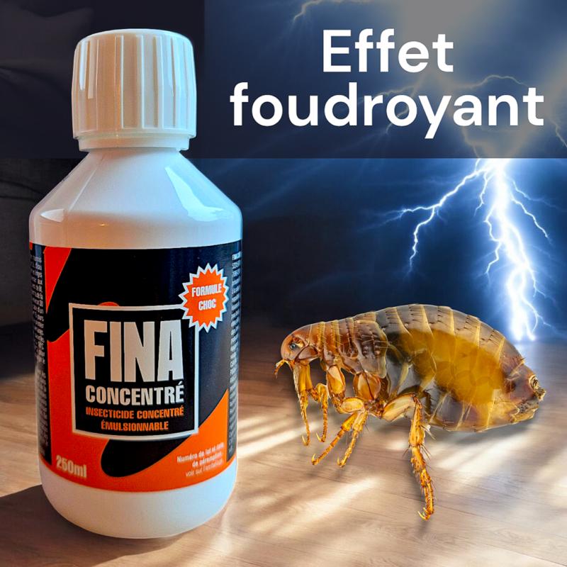 Insecticide puce FINA Concentré | Foudroyant, efficace 12 semaines