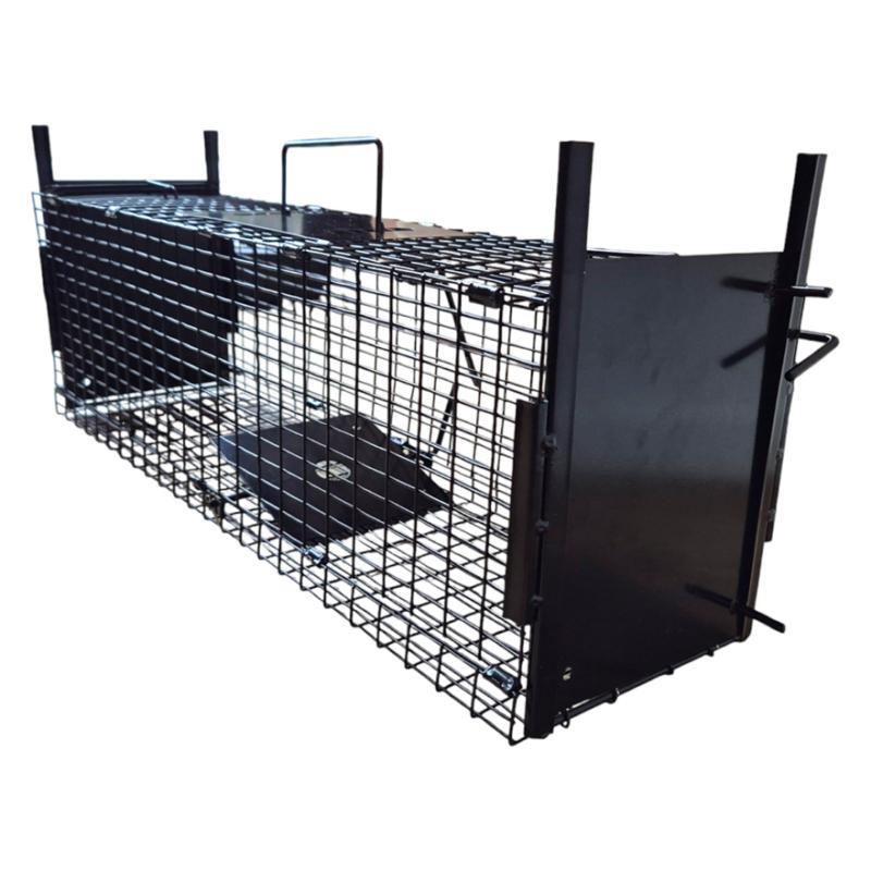 Cage piège pour animaux nuisibles | Double entrée, acier inox