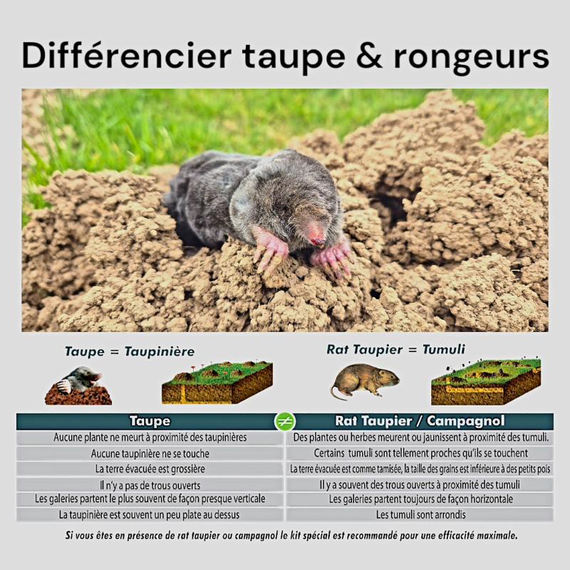 Kit complémentaire Le Détaupeur 5 pétards | Mulot, campagnol, rat taupier