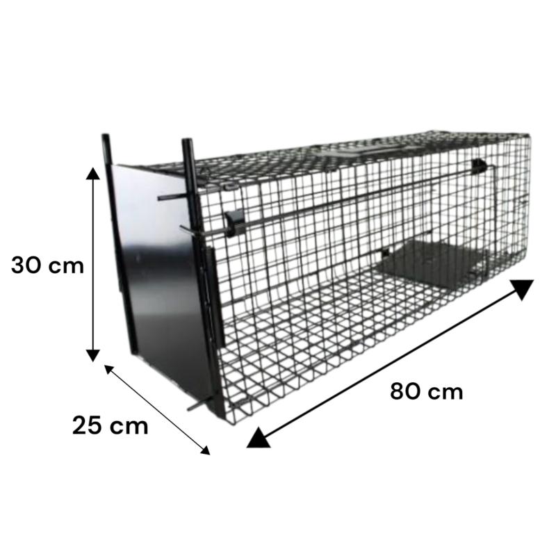 Cage piège à ragondin, 1 entrée en acier inoxydable | Avis, prix