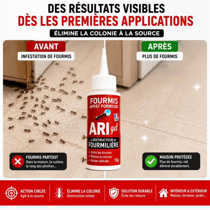 Ari Gel Fourmis Avis