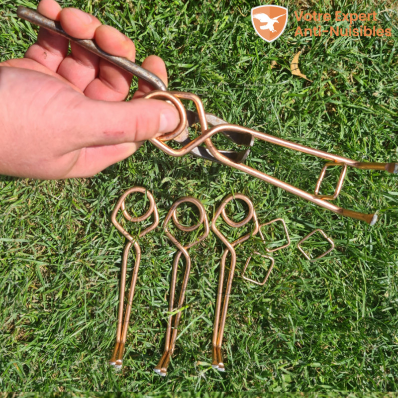 Kit complet 4 pièges à taupe traditionnel Putange | Avis, prix