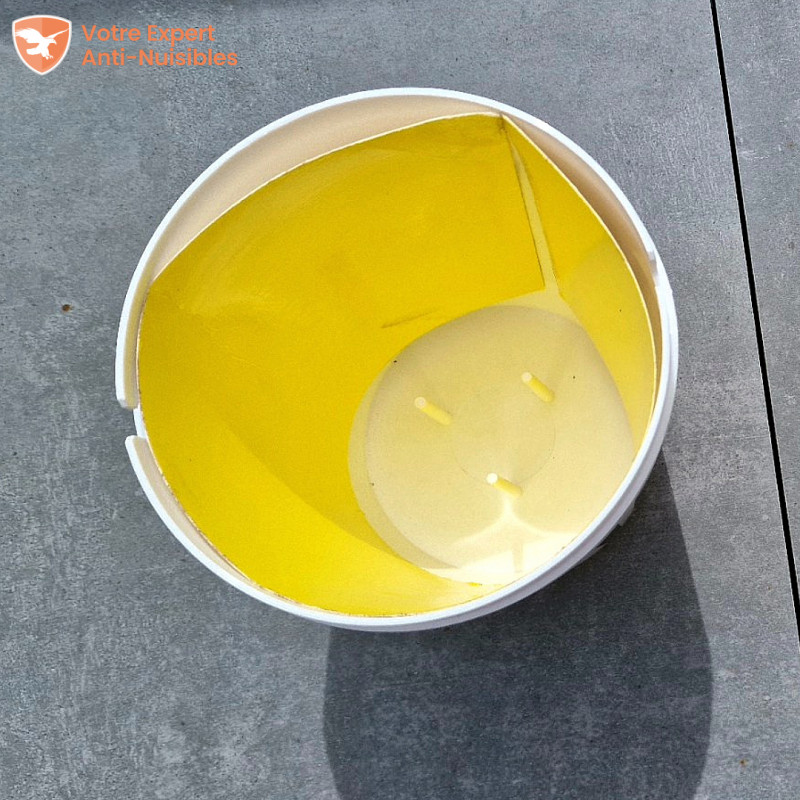 Lot recharge 10 plaques de glu pour piège à mite à entonnoir