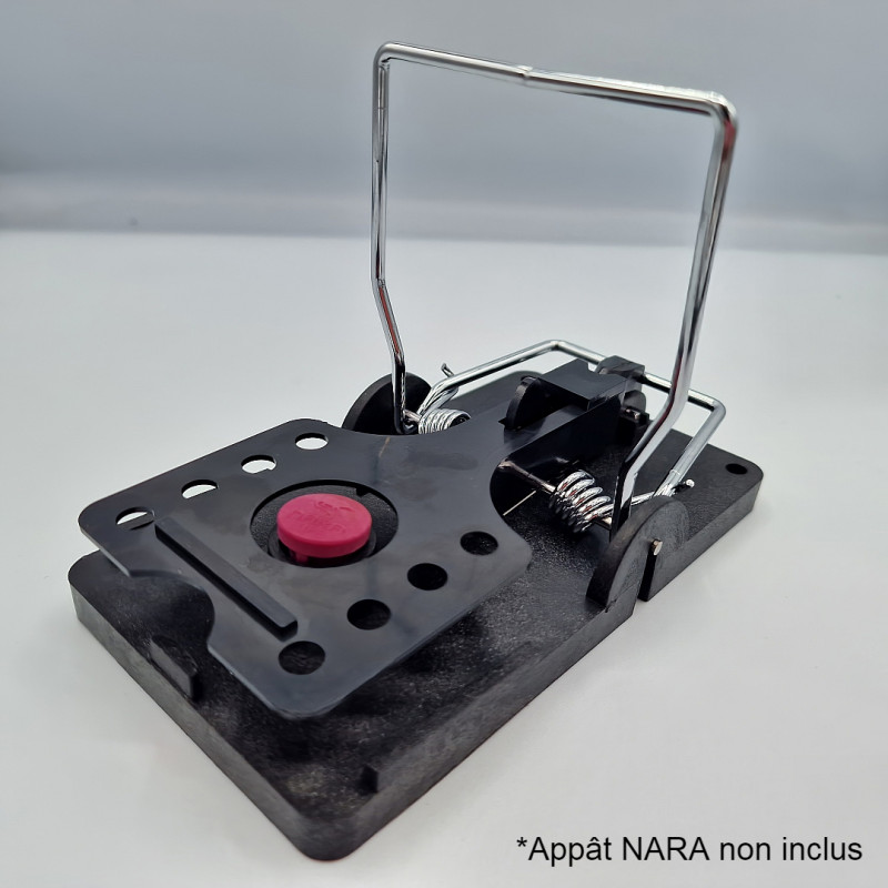 Piège à rat plastique pas cher, efficace | Avis, prix