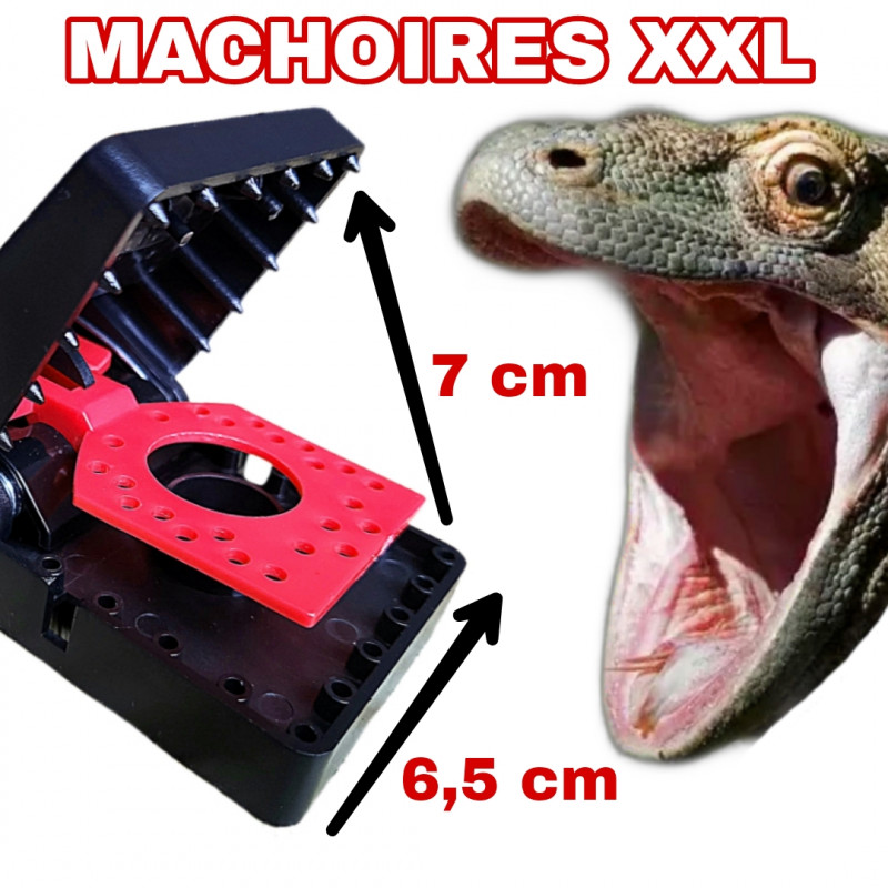 Piège "Mâchoire Komodo" sur-puissant, spécial rat | Exclusivité